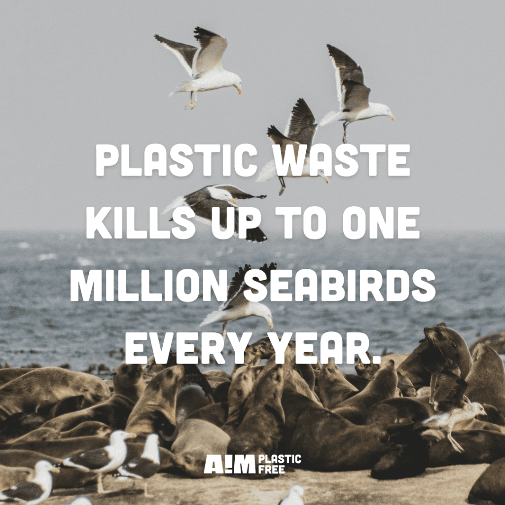 10 Shocking Facts About Plastic Pollution You Need To Know - Aim ...